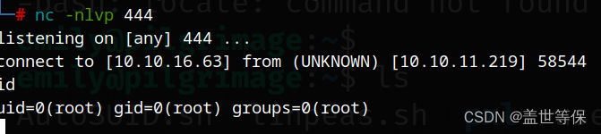 HTB hackthebox Pilgrimage Writeup靶机pilgrimage渗透测试_hack the box pilgrimage-CSDN博客