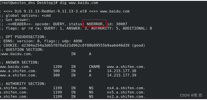 企业dns服务器搭建_企业私有dns服务器-CSDN博客