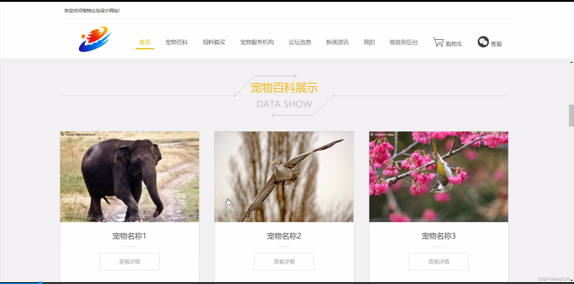 Java毕设项目宠物论坛设计网站测试视频2021计算机（附源码+系统+数据库+LW）_宠物论坛项目-CSDN博客