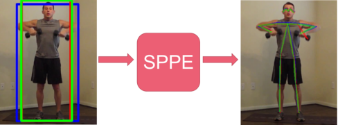 Alphapose论文代码详解-CSDN博客