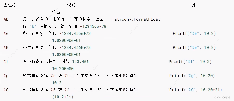 13——golang格式化输出 Csdn博客 