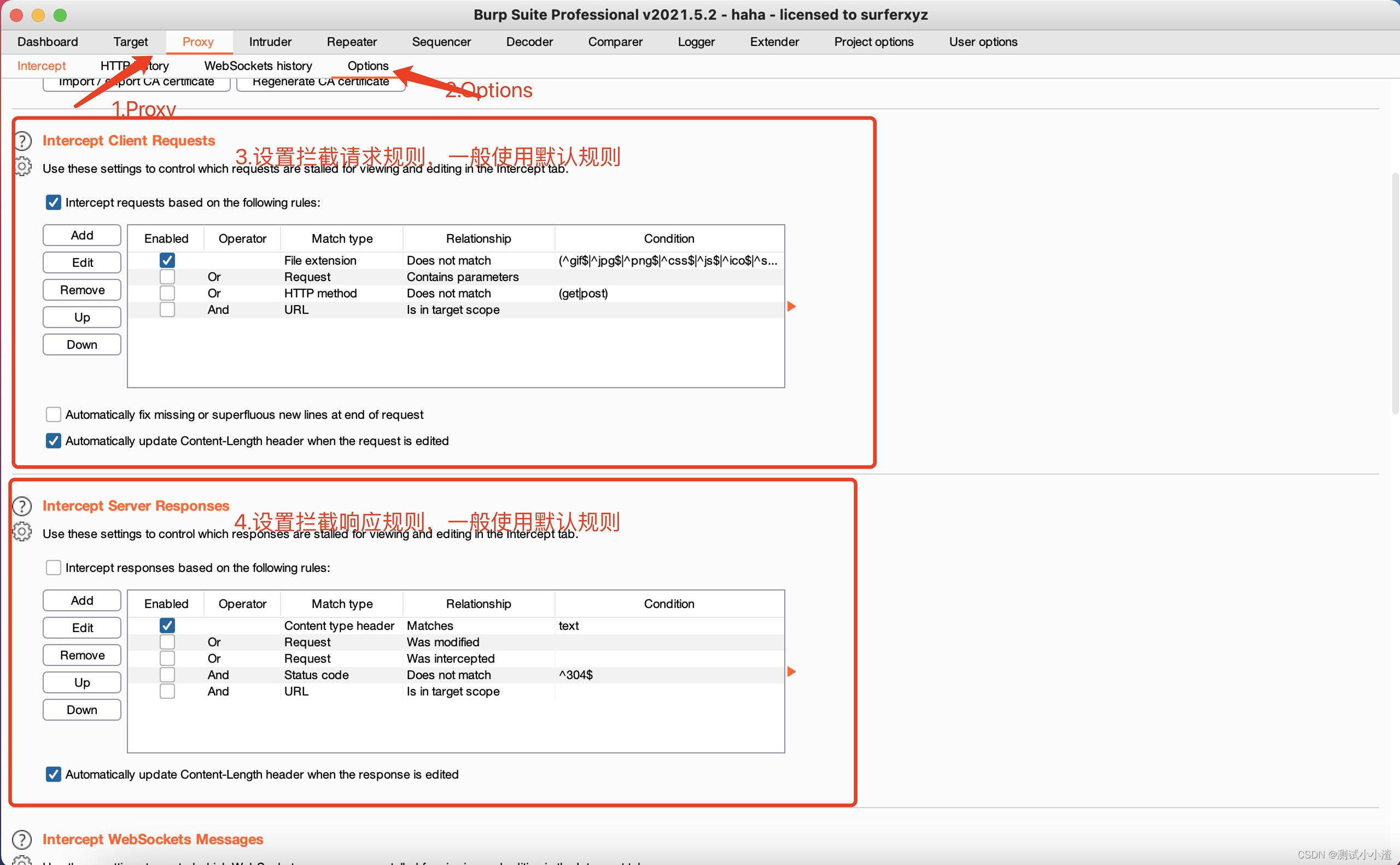 Brup Suite修改request/response_burp修改返回包-CSDN博客