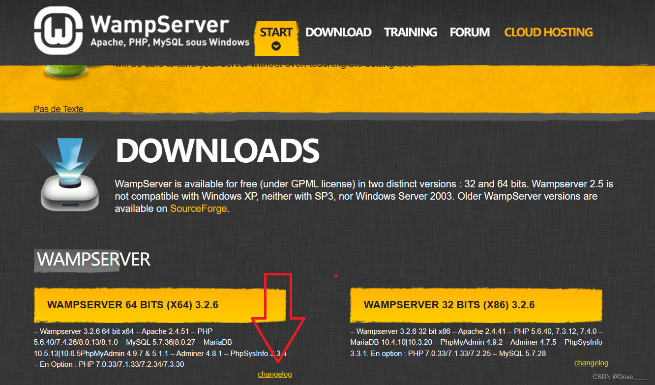 wampserver和Visual Studio Code 下载安装_wampserver下载安装-CSDN博客