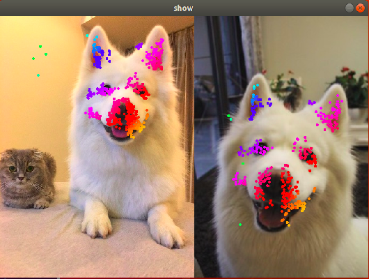 GMS特征点代码实践_gms算法的python实现-CSDN博客