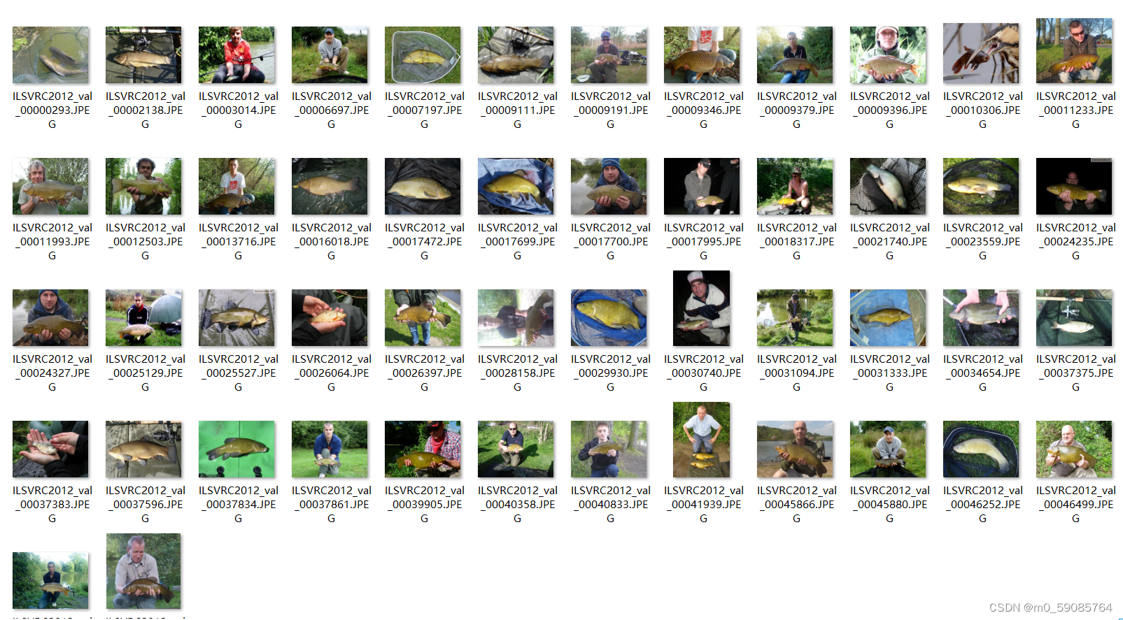 ILSVRC2012（ImageNet2012）数据集的下载及ILSVRC2012_img_val数据集的分类_ilsvrc2012数据集-CSDN博客