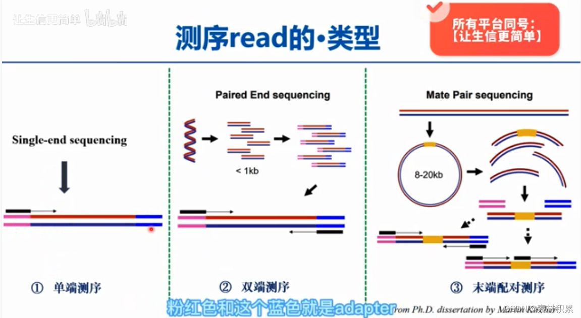 测序基本概念 Csdn博客 