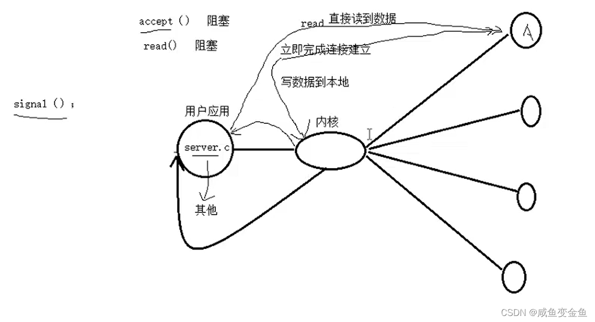 Io通信(多路复用) 多路io转接服务器设计思路 Select函数的实现 自己实现select函数 Csdn博客
