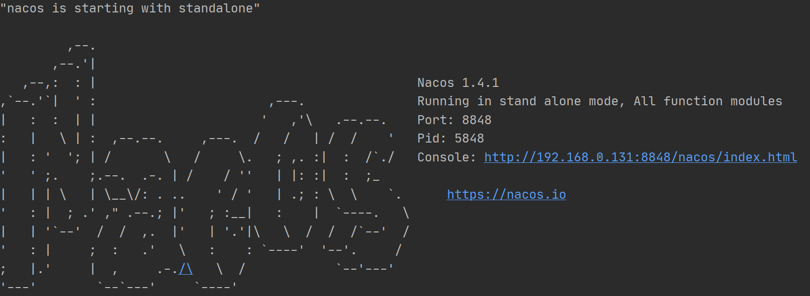 idea启动nacos配置_idea 注册到nacos启动项配置-CSDN博客
