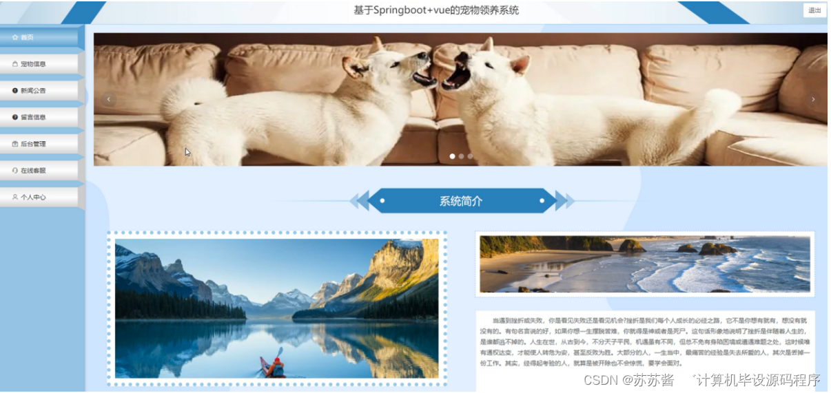 计算机毕业设计springbootvue的宠物领养系统8dd979【附源码数据库部署lw】 Csdn博客