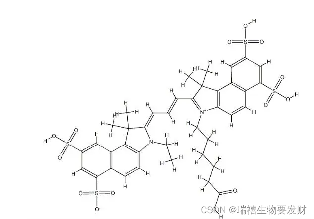 荧光染料CY3.5-Collagen v,试剂CY3.5标记胶原蛋白V，用途定位：胶原蛋白V_胶原蛋白和荧光染料的连接-CSDN博客