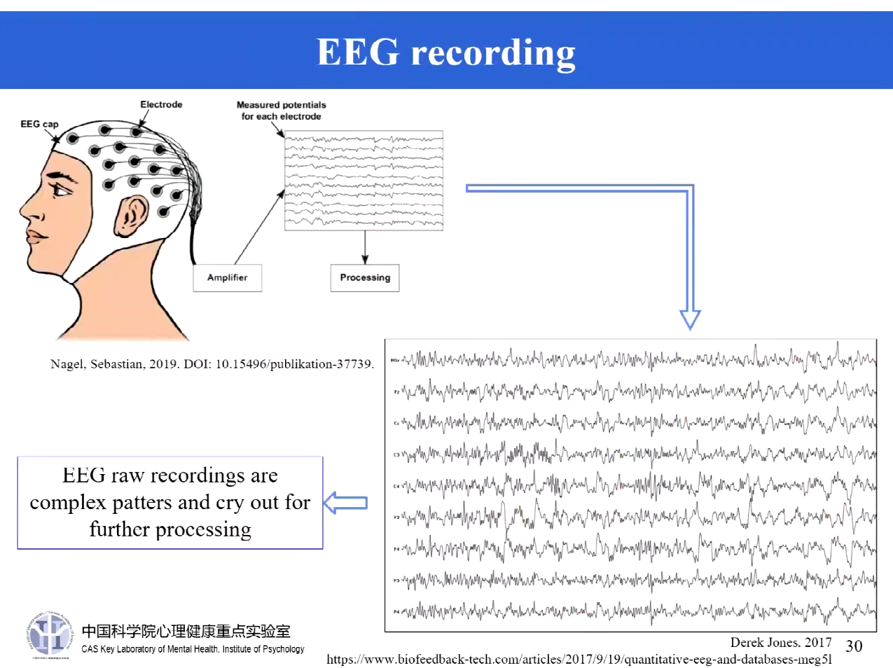 脑电数据分析方法与应用实例简介-EEG Processing and Feature 1-CSDN博客