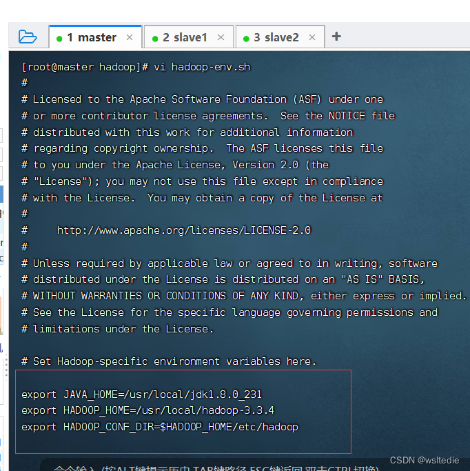 Hadoop集群配置_hadoop配置slaves文件-CSDN博客
