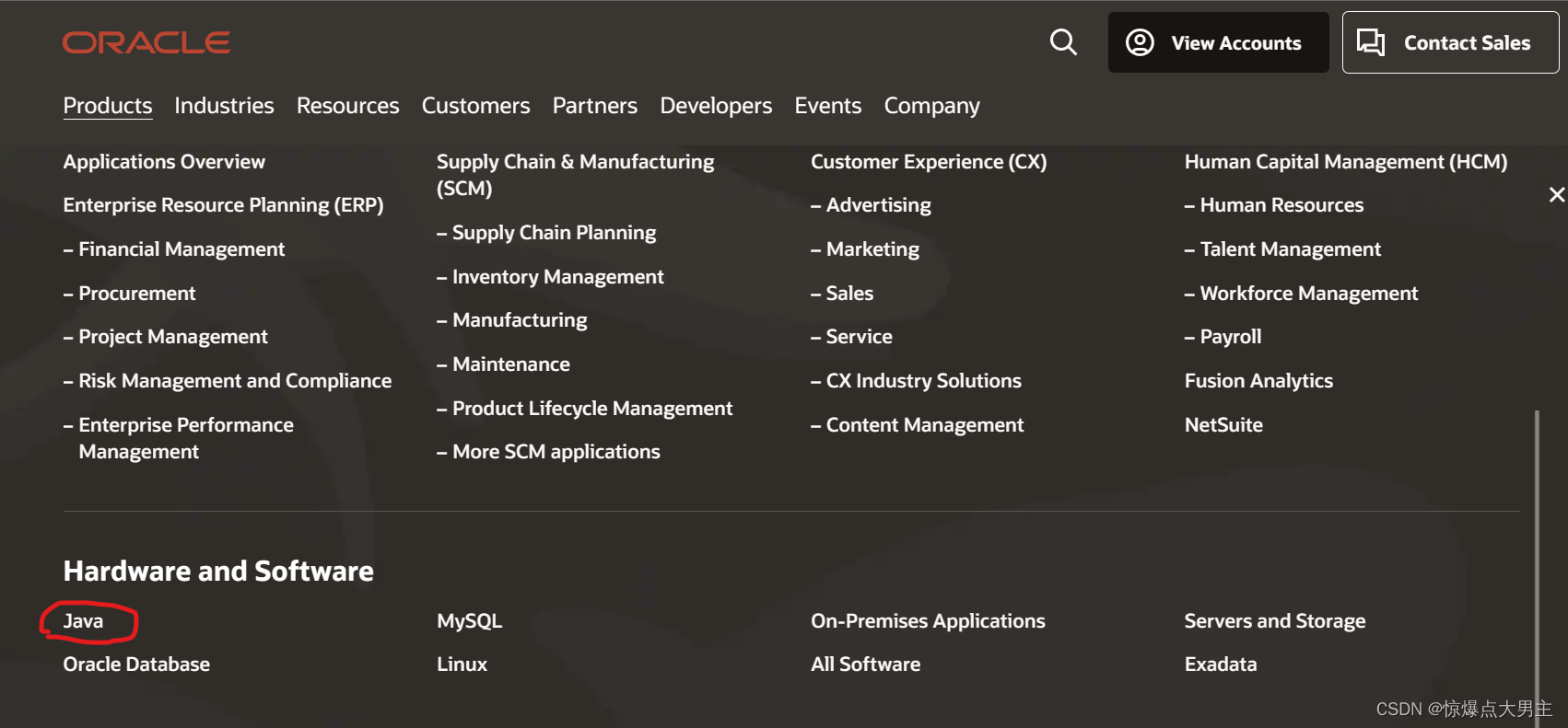 1.手把手超详细从零安装JavaJDK并配置好环境-CSDN博客