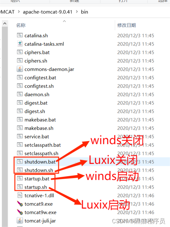 TOMCAT详解_tomcat访问地址-CSDN博客