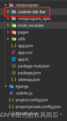 微信小程序中使用 TDesign 自定义 TabBar_tdesign tabbar-CSDN博客