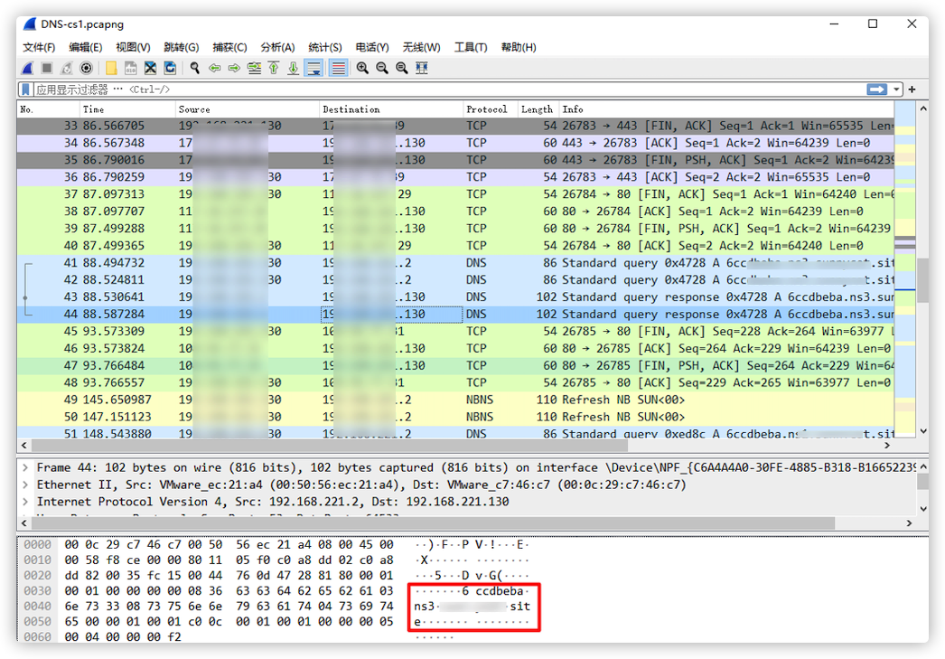 【渗透测试】CS DNS上线（DoH隧道技术实践浅析）-CSDN博客