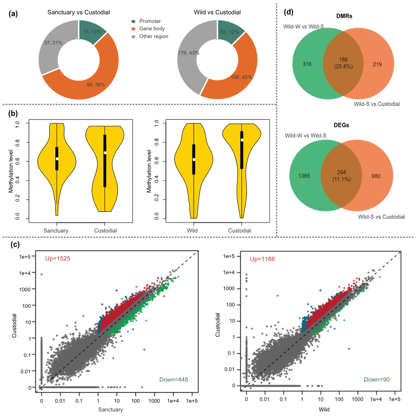 易基因｜3文一览：简化甲基化测序（RRBS）技术优势及研究成果（医学+物种保护+农学）_rrbs测序量-CSDN博客