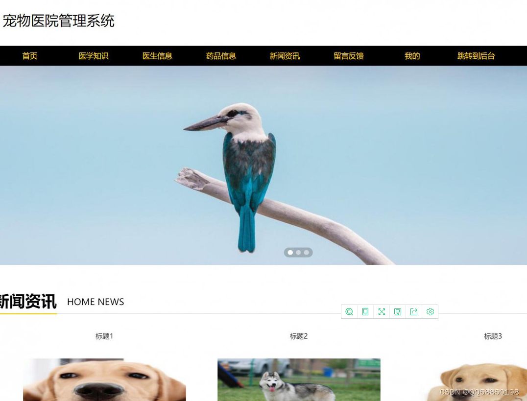 基于springboot宠物医院管理系统java源码宠物医生前端代码 Csdn博客