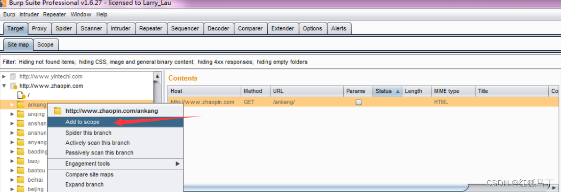burp的简单使用_burp使用教程-CSDN博客