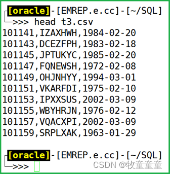 Oracle sqlldr和外部表_sqlldr 中生成外部标命令-CSDN博客