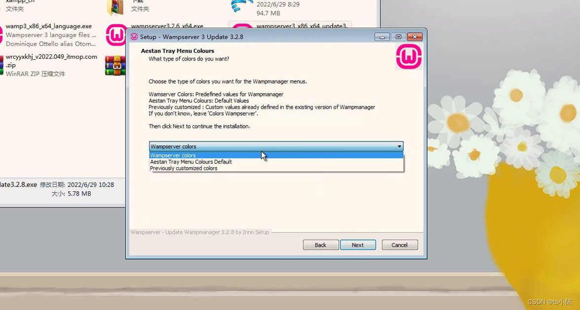 wampserve详细安装教程（手把手教你搭建）_wampserver安装教程csdn-CSDN博客
