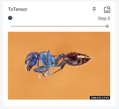 Transforms的使用_if size is a sequence, it should have 1 or 2 value-CSDN博客