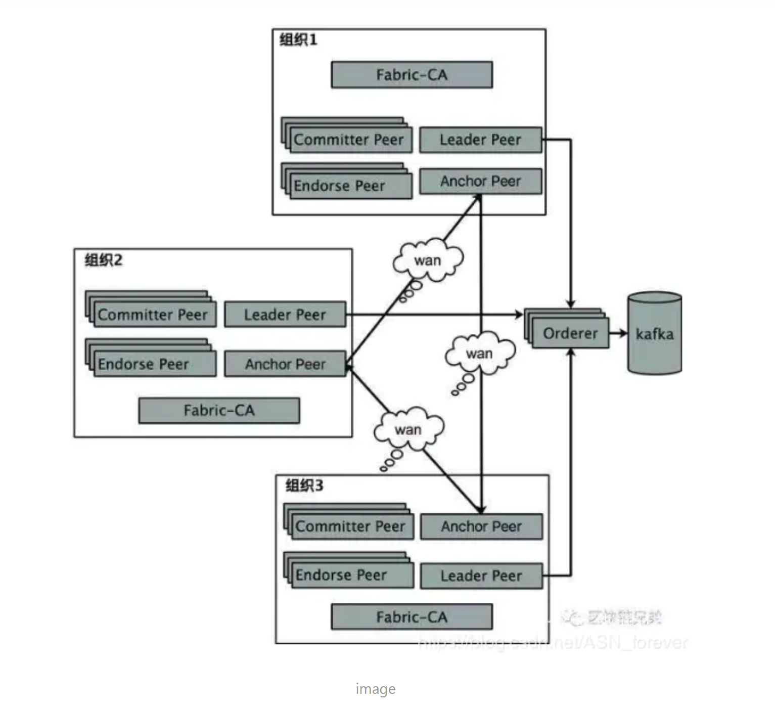 fabric概念_fabric网络-CSDN博客