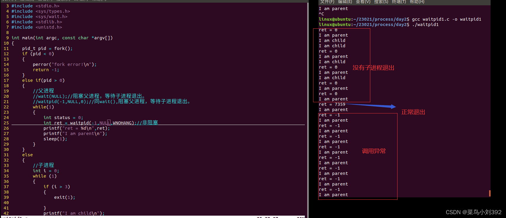 Wait函数和waitpid函数wait函数和waitpid函数 Csdn博客 