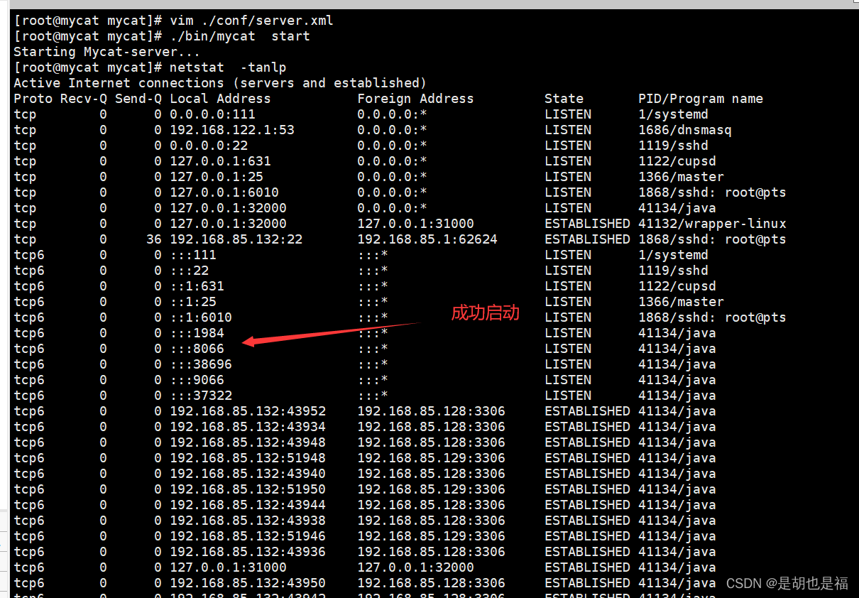 Mysql读写分离之mycat中间件（项目例子 一主一丛一代理）数据库主从 中间件 Csdn博客 7717