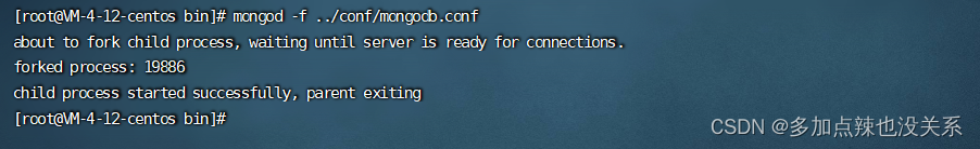Linux-安装MongoDB(详细教程)_linux安装mongodb客户端-CSDN博客