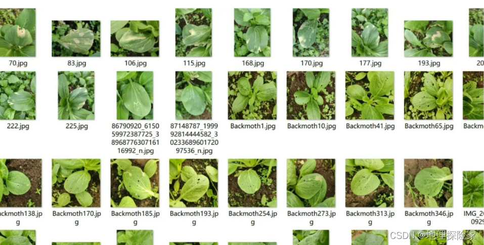 深度学习——植物、农作物图像数据集大合集农作物数据集 Csdn博客