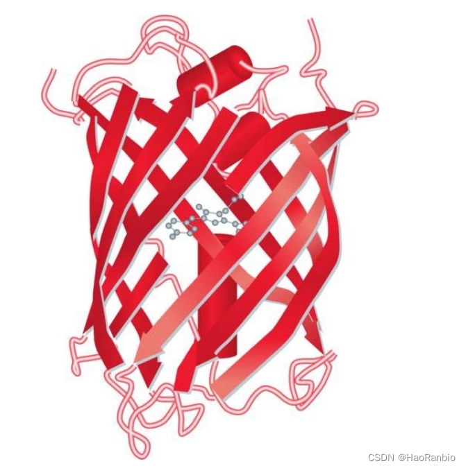 荧光蛋白mCherry标记微管蛋白的转基因植物_mcherry荧光标记的植物蛋白-CSDN博客