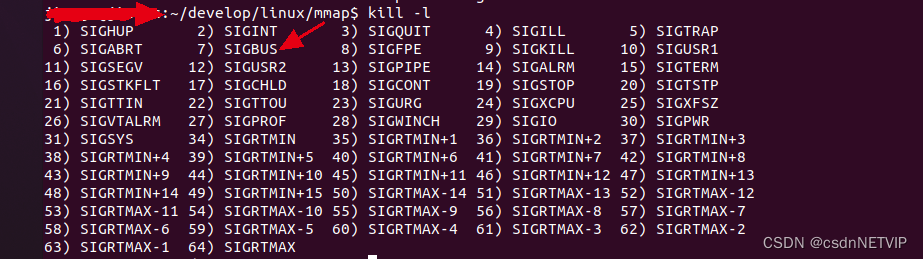 mmap 基本使用-CSDN博客