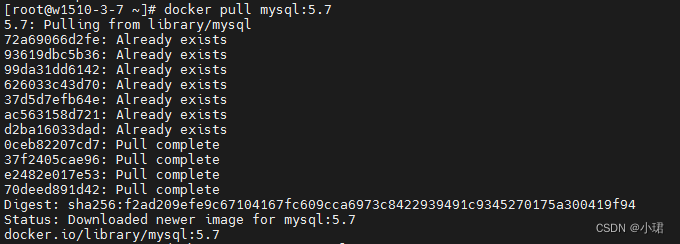 Docker安装或删除MySQL以及进入数据库_linux 删除docker 里面的mysql-CSDN博客