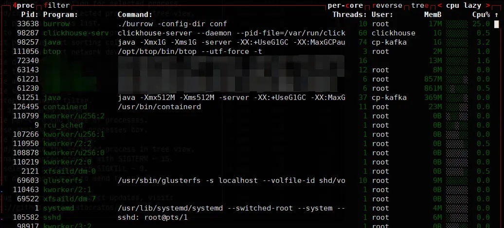 linux dashborad工具之 btop-CSDN博客