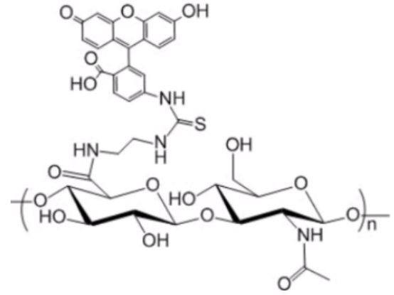FITC-透明质酸|FITC-PEG-HA|透明质酸酯-荧光素|Hyaluronate-Fluorescein|分子量10K 20K 30K-CSDN博客