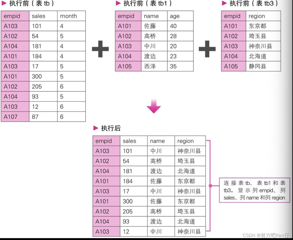 Mysql：基础教程 10（个人笔记） Csdn博客