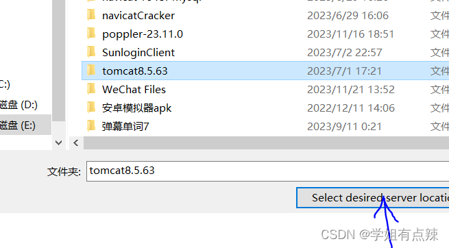 Unable to start the server: Extension backend error - rsp error ...
