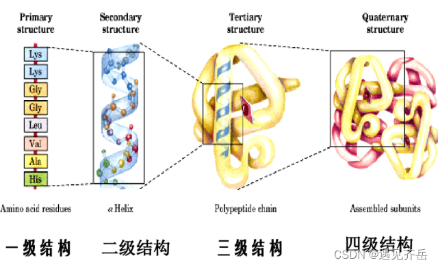 聚氨基酯偶联牛血清白蛋白/人血清白蛋白/卵清白蛋白纳米粒PAE-BSA/HSA/OVA(合成路线)_hsa 合成氨基-CSDN博客