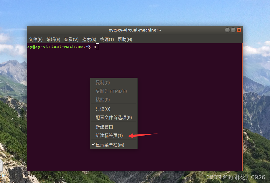ubuntu 终端窗口优化——使用terminator_ubuntu 终端优化-CSDN博客