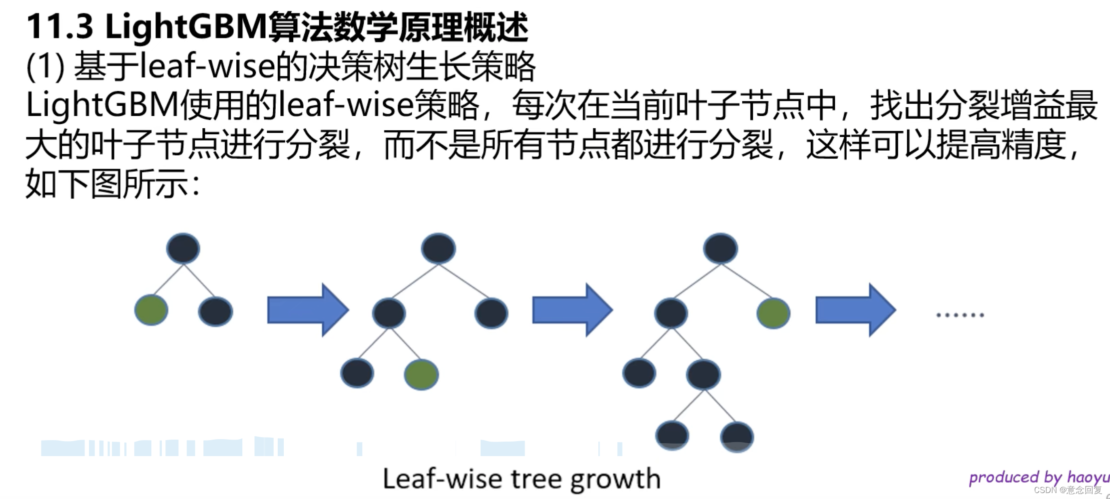 XGBOOST和LightGBM-CSDN博客
