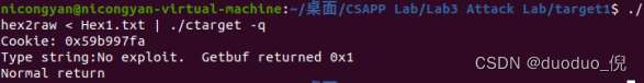 CSAPP Lab3：Attack Lab-CSDN博客