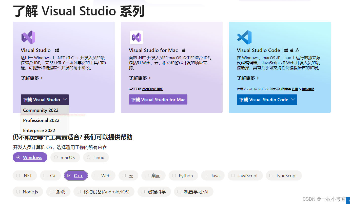 Windows下配置C++开发环境：Vscode+VS+CMake_cmake vscode window option配置-CSDN博客