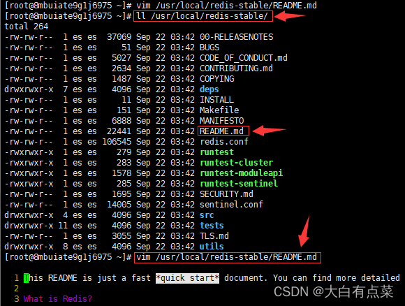 写最好的最新稳定版Redis7（redis-7.0.5）在云服务器Centos7安装部署教程（参考官方文档）_redis哪个版本稳定-CSDN博客
