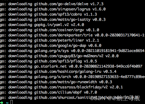 Goland 设置与配置_goland 配置-CSDN博客