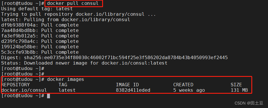 【微服务| Consul】使用docker搭建consul集群_docker pull consul-CSDN博客