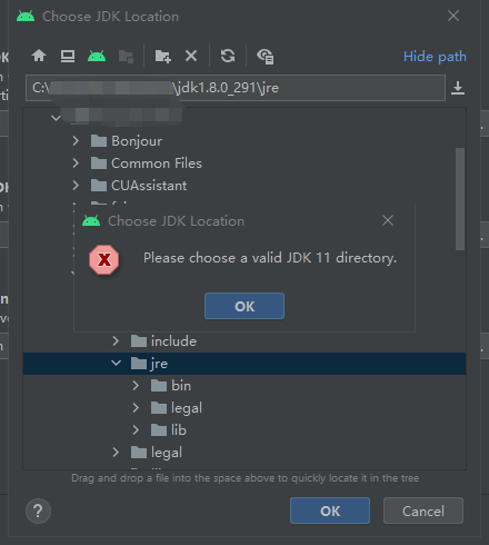android studio Please choose a valid JDK 11 directory 错误_please choose a valid jdk 11 directory ...
