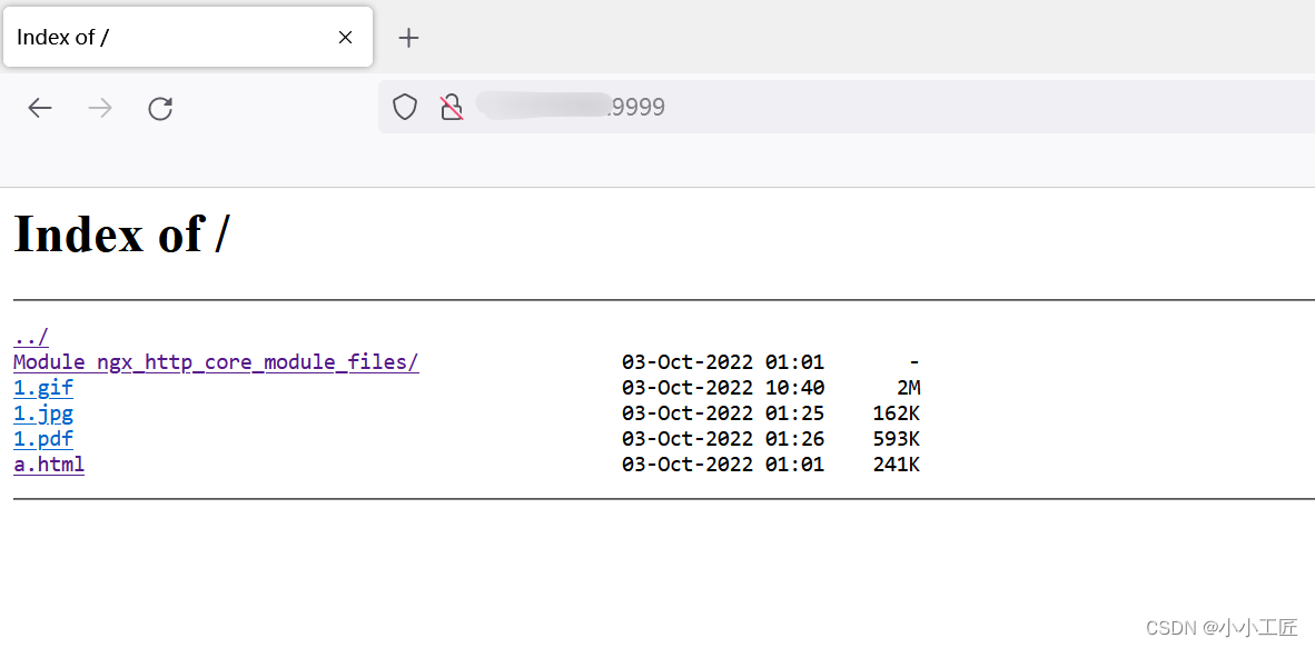 重识Nginx - 08 使用ngx_http_autoindex_module实现目录浏览功能_小小工匠的博客-CSDN博客