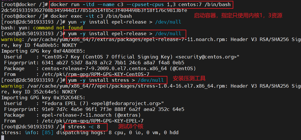 Docker容器——Cgroup 资源配置方法_docker cgroup-CSDN博客