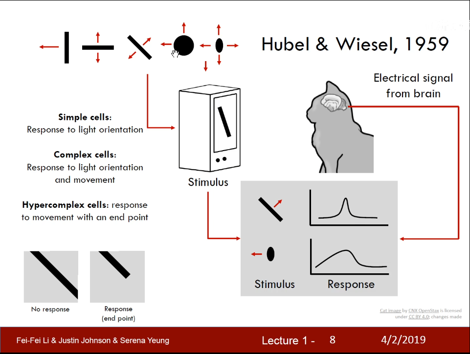 计算机视觉-CS231n-Lecture 1_cs231人脸识别-CSDN博客